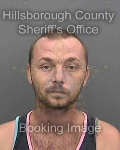 CHRISTOPHER LEE LEWIS of VALRICO booked for