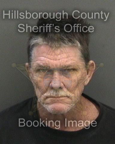 DENNIS JOHN JR WALSH of TAMPA booked for