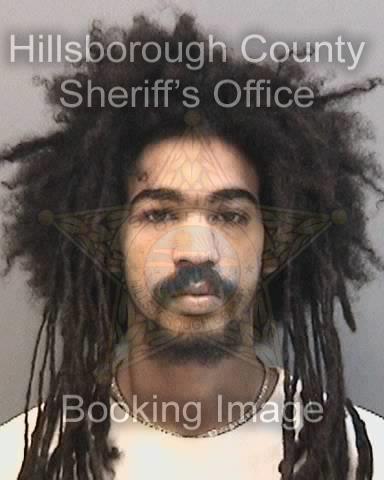 GEMINI PAUL HUGGINS of VALRICO booked for