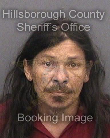 JAMES WILLIAM JR KULP of TAMPA booked for