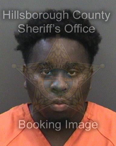 JUWAN LEE GREEN of RIVERVIEW booked for