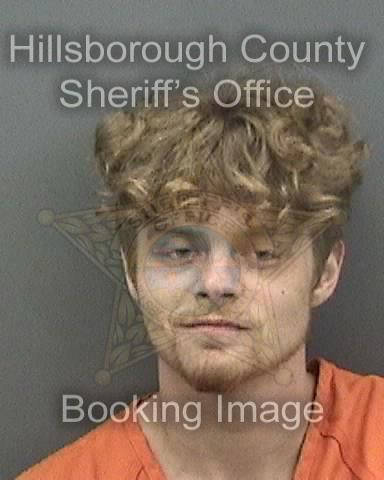 LIAM DOUGLAS SHIELDS of TAMPA booked for