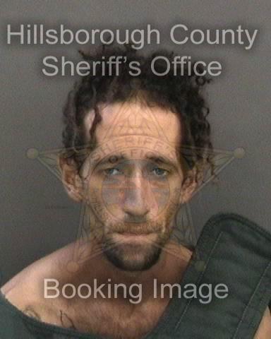 MICHAEL ANTHONY BEDELL of TAMPA booked for