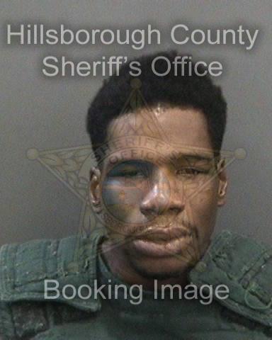 MICHAEL RAMON ROSHELL of TAMPA booked for