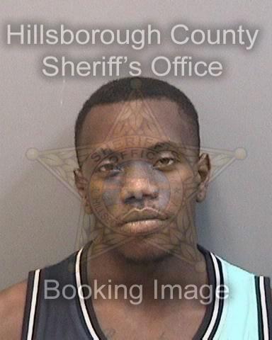 MICHAEL TYRONE III DONALDSON of TAMPA booked for