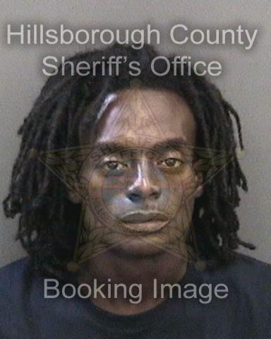 REGINALD CORTEZ IV BOWMAN of TAMPA booked for