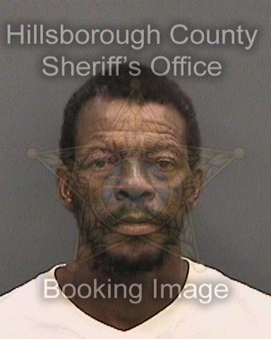 RICHARD SEBASTIAN DAVIS of TAMPA booked for