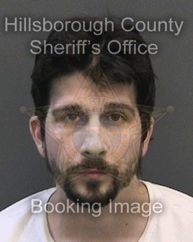 SCOTT DAVID ZIMMERMAN of TAMPA booked for