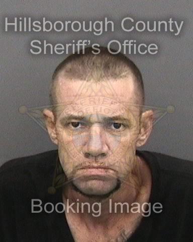 SHAWN LEE DAVIS of RIVERVIEW booked for