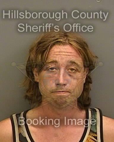 STEPHEN WOLFE SNODGRASS of TAMPA booked for