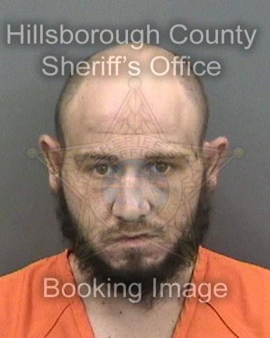 TRAVIS ANDERSON of GIBSONTON booked for
