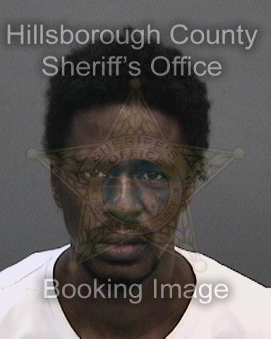 TRAVIS VINCENT WILLIAMS of MIAMI booked for