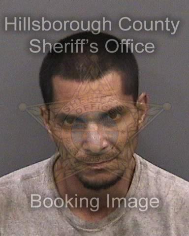 WAYNE CARTER PHILIPPUS of TAMPA booked for