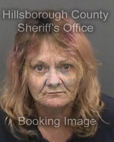 WHITNEY RUTH MCDANIEL of LUTZ booked for