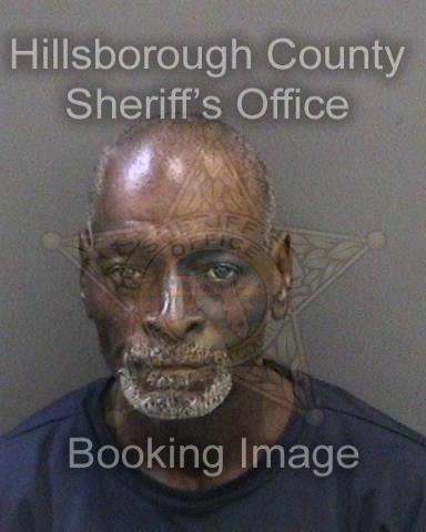 CHARLES HENRY MARTIN JR of TAMPA booked for