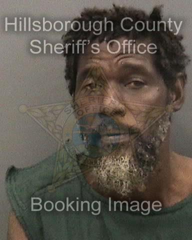 CURTIS ELIJAH ROSS of TAMPA booked for