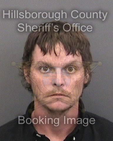 DAVID CARL JR WATSON of CRYSTAL booked for