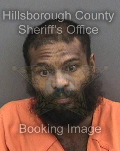 MICHAEL DAVID HOWARD of VALRICO booked for
