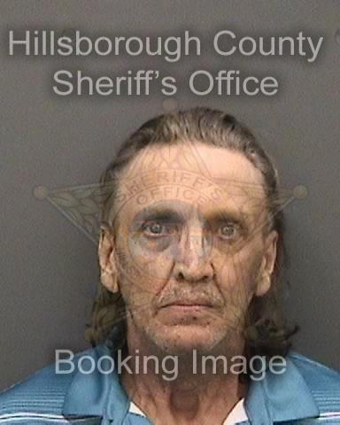 RALPH ALLEN COOK of VALRICO booked for