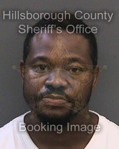 SIR JOSHUA DAVID MICKENS of TAMPA booked for