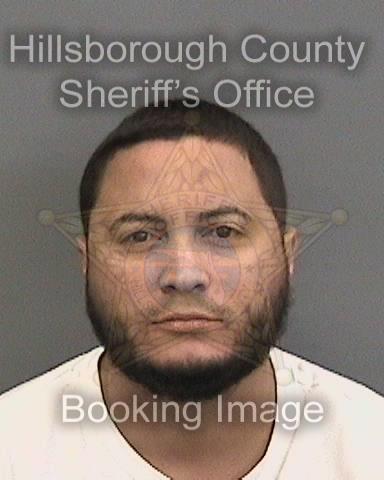 WILFREDO MARIN NEGRON of TAMPA booked for