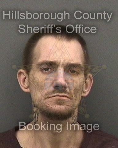 RICHARD MAHAFFEY of TAMPA booked for