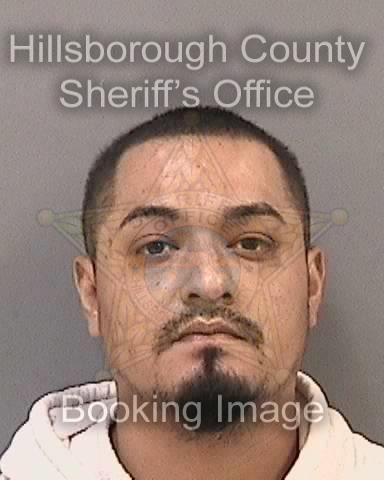 EDWIN RAMIREZ of TAMPA booked for