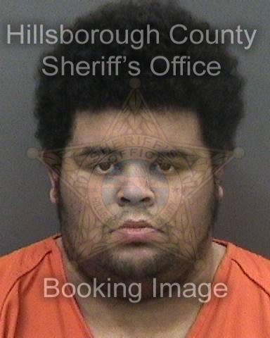 JOSEPH BRYCE FREEMAN of LUTZ booked for