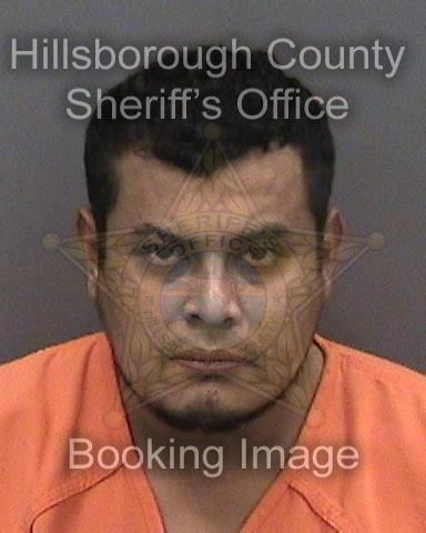 LESTER NOEL BRAVOFONSECA of TAMPA booked for