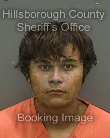 MATTHEW ALANIZ of PLANT booked for