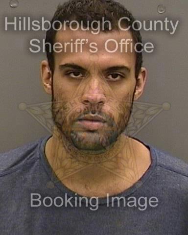 STEVEN MICHAEL KOENIG of RIVERVIEW booked for