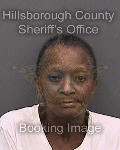 TERESA WYNN HICKS of TAMPA booked for