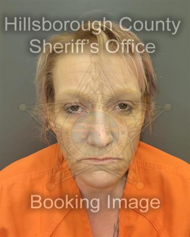 NORMA LEE FORTIN of SEFFNER booked for