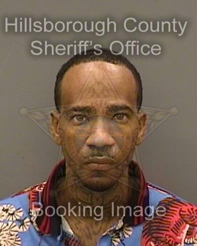 SAMUEL RICARDO JAMES of TAMPA booked for