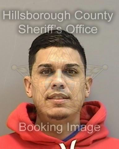 ANDREW ALEXANDER MORA of LUTZ booked for