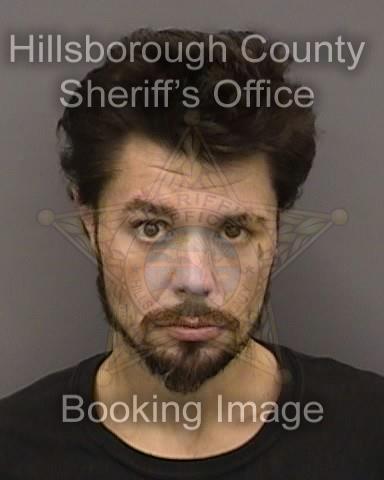 BRENDAN REED MCGALL of VALRICO booked for