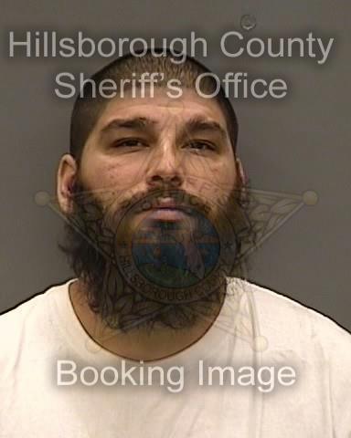 LUIS MIGUEL MACEDO of TAMPA booked for