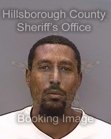 MICHAEL ANTHONY WILLIAMS of TAMPA booked for