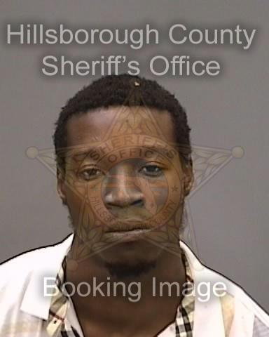 MICHAEL LAMAR JR STEWARD of TAMPA booked for