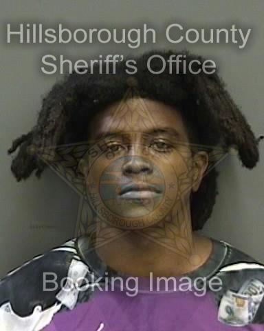 ANDREW RICKY HANDFORD JR of TAMPA booked for