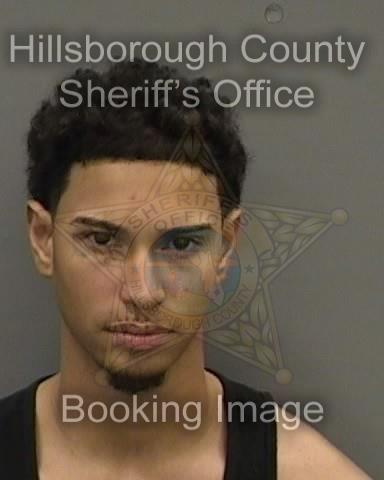 ARIAN MANUEL RODRIGUEZ of RIVERVIEW booked for