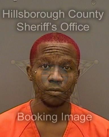 DEMETRIUS RICARDO POWELL of SEFFNER booked for