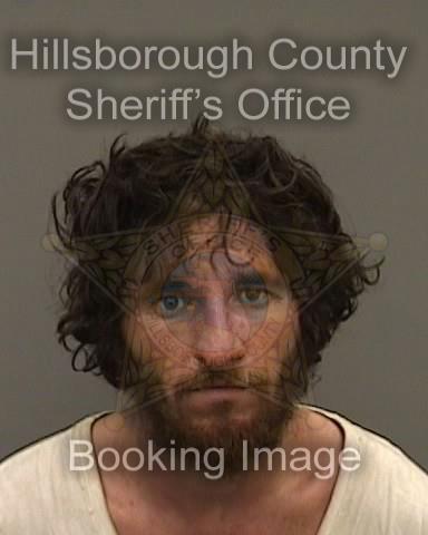 ERNEST CLYDE JR TAYLOR of TAMPA booked for