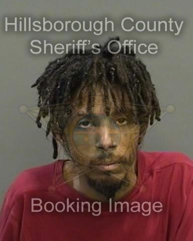 EVELIO DAVID RODRIGUEZ of GIBSONTON booked for