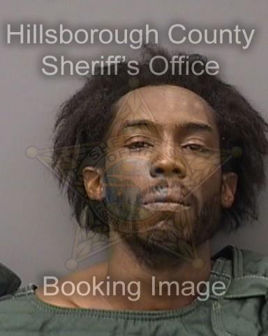 IAN CHRISTOPHER DAVIS of TAMPA booked for