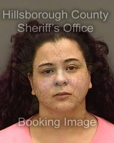 IVIS PERALTA of TAMPA booked for