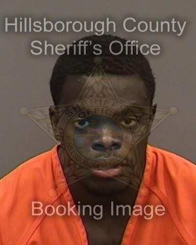 WOOBY GILBER THEORK of NAPLES booked for