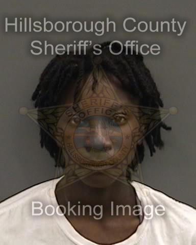 ALISIA ELIZABETH PRIDE of TAMPA booked for