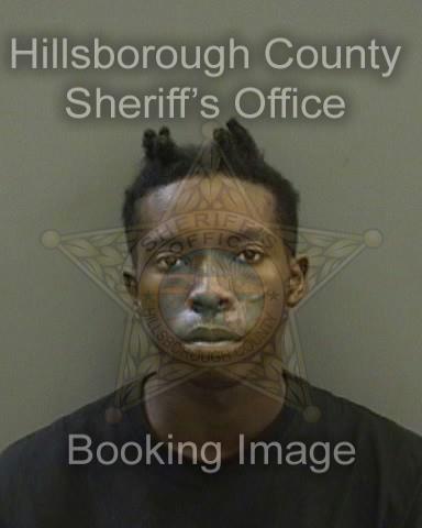 DAMIEN JERMAINE BOATWRIGHT of TAMPA booked for