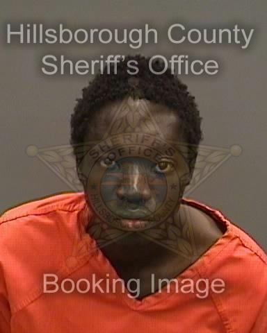 DARRYN M JR JOHNSON of TAMPA booked for